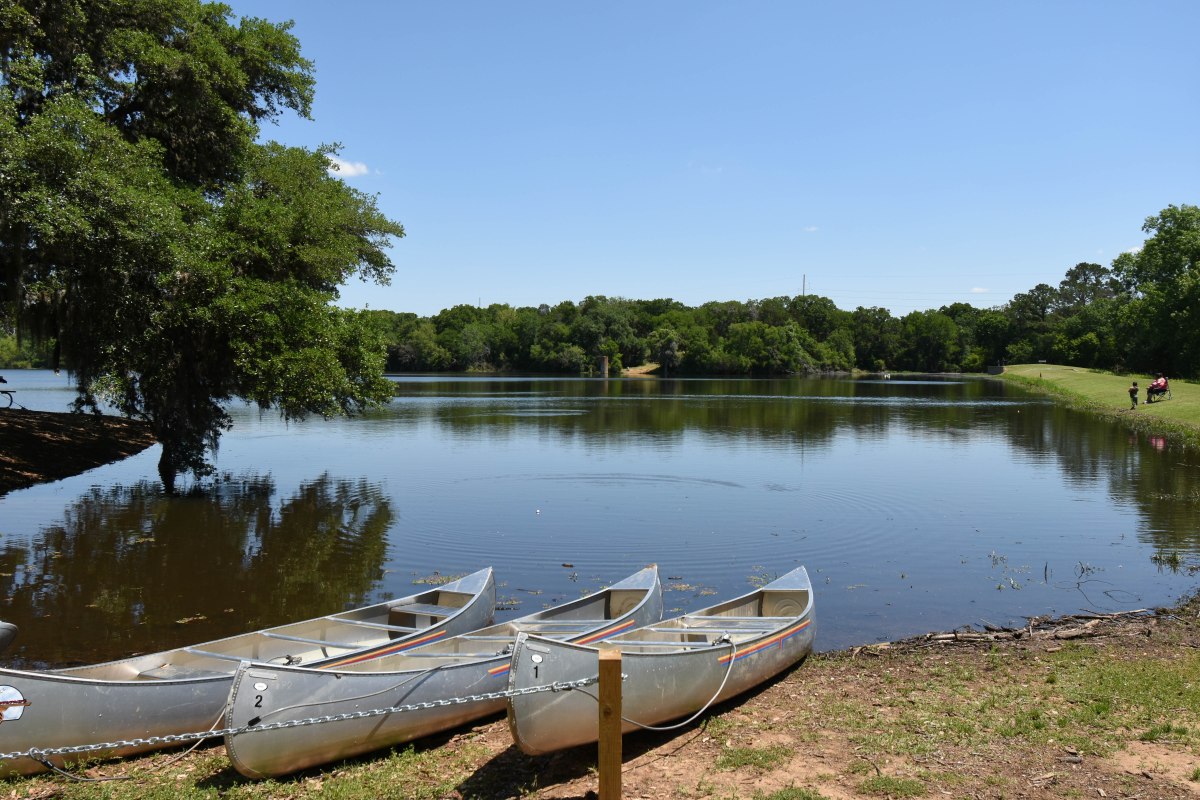 Hiking (and Learning About Bugs) at Buescher State Park – Texas Tourist