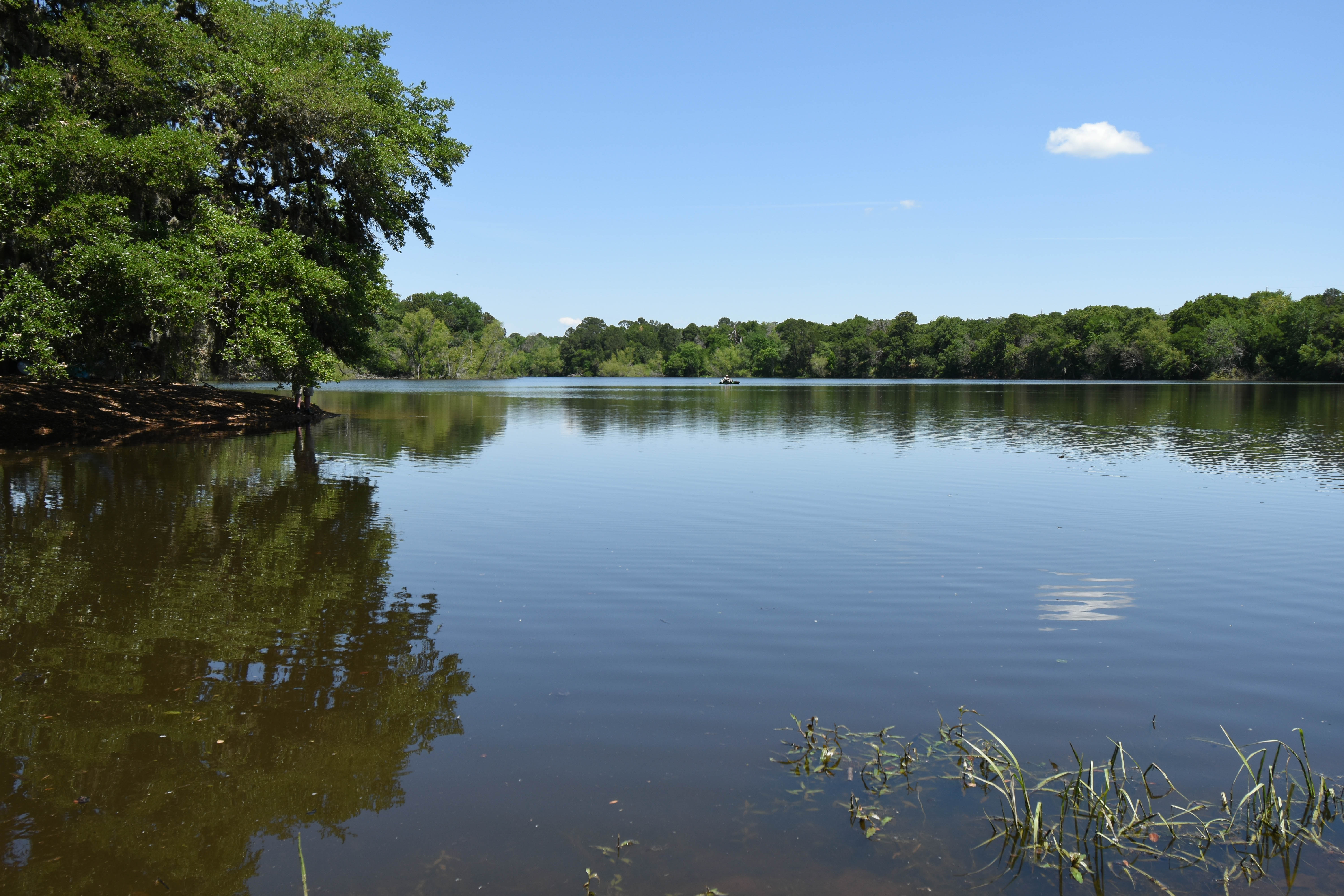 Hiking (and Learning About Bugs) at Buescher State Park – Texas Tourist